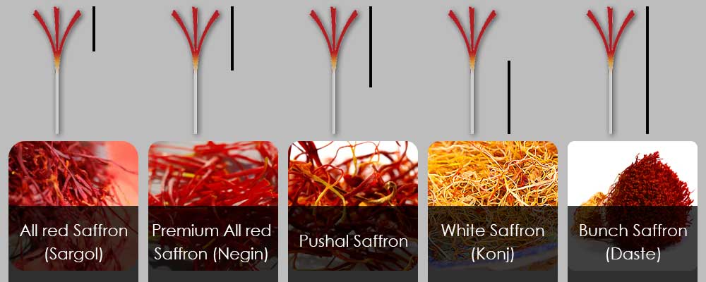 Iran Saffron | Iran Zaferan | Spices | Iran Genuine Food Products