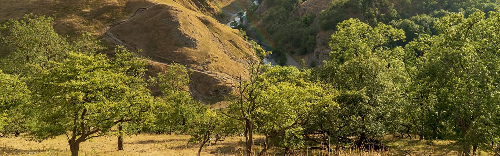 Ilam Province | Ilam City | Mehran City | Iran Travel Guide